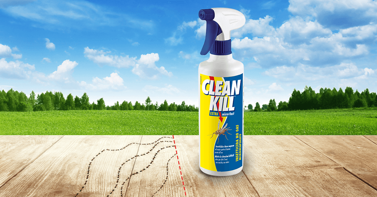 Nebulizzazione o getto? Due armi efficaci contro gli insetti – BIO KILL ...